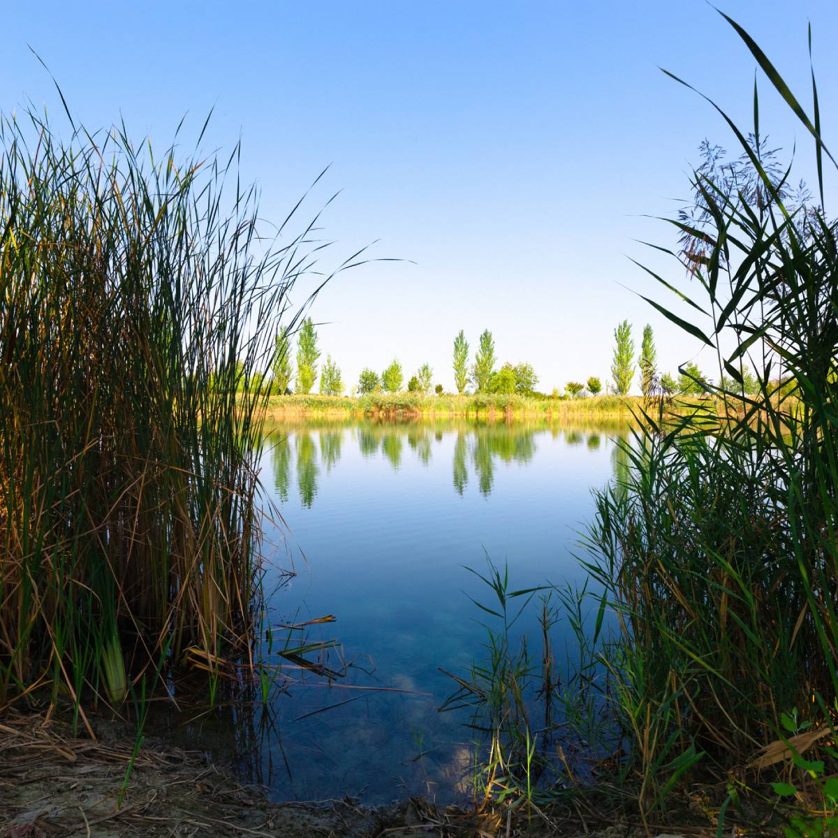 The River box, l'innovativa proposta didattica che sensibilizza al ...