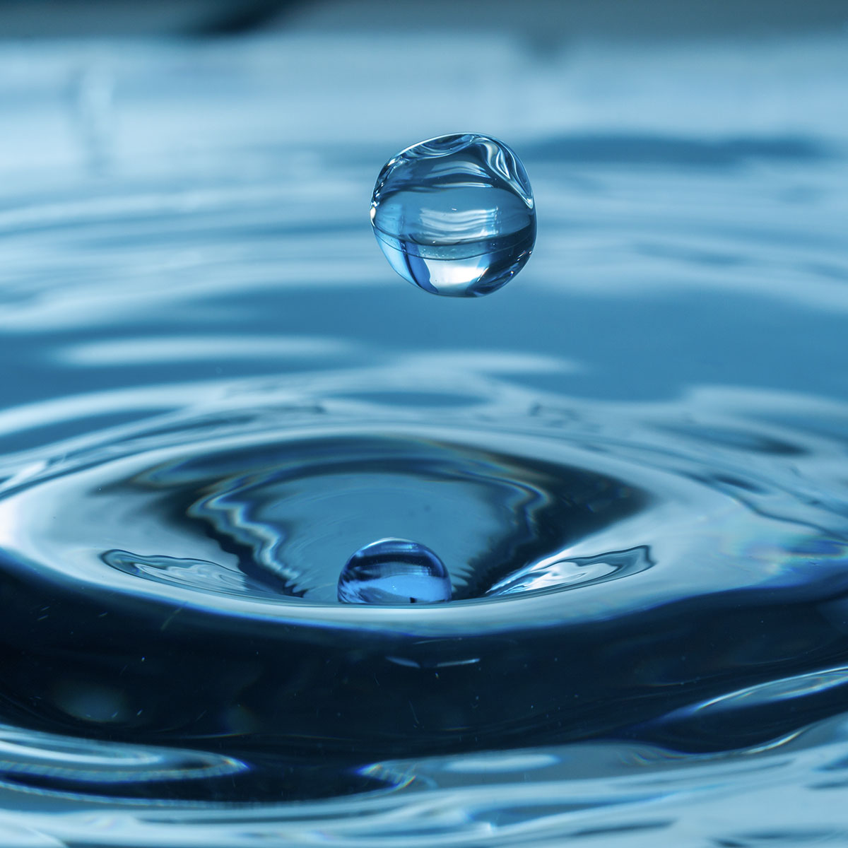 Blue Book 2024, quali sono gli effetti dei cambiamenti climatici sul ...